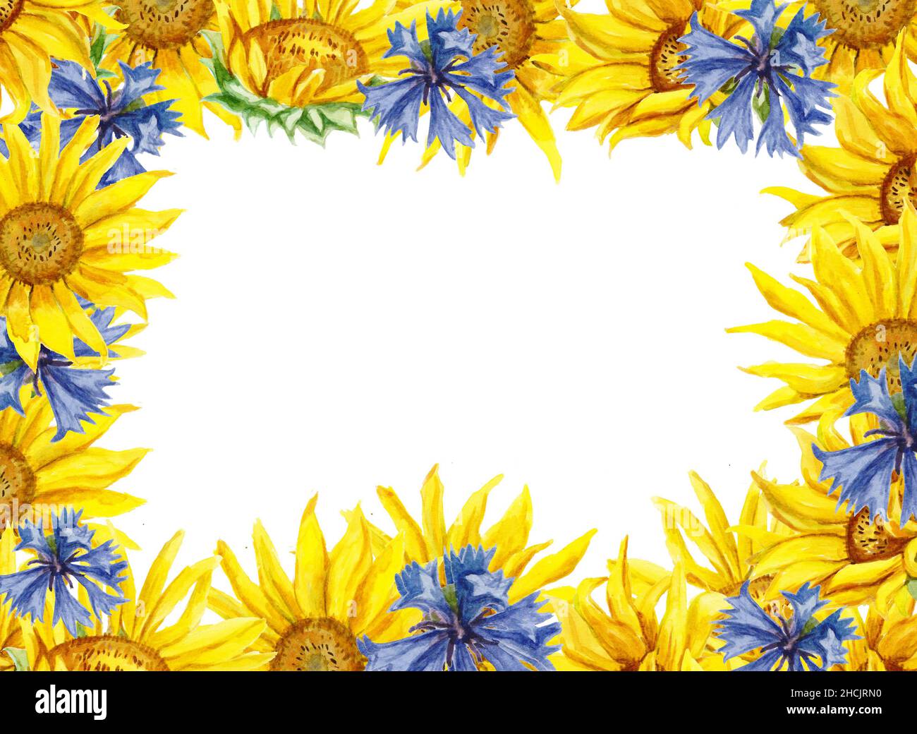 Floral frame with sunflowers. Watercolor hand drawn illustration Stock ...