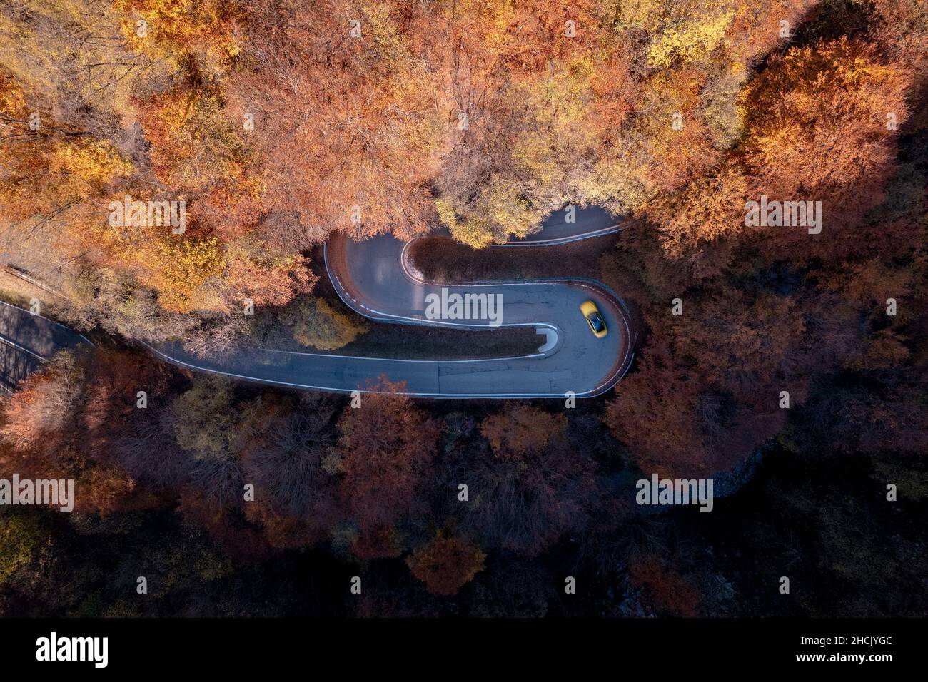 Car on a Winding Fall Road Stock Photo - Alamy