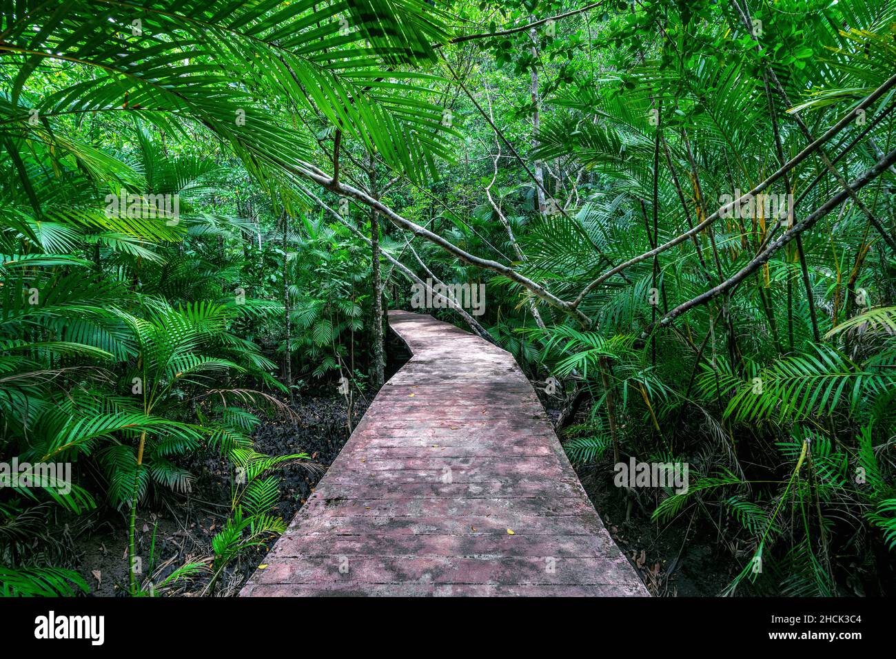 Concrete walking trail in a nature park Stock Photo - Alamy