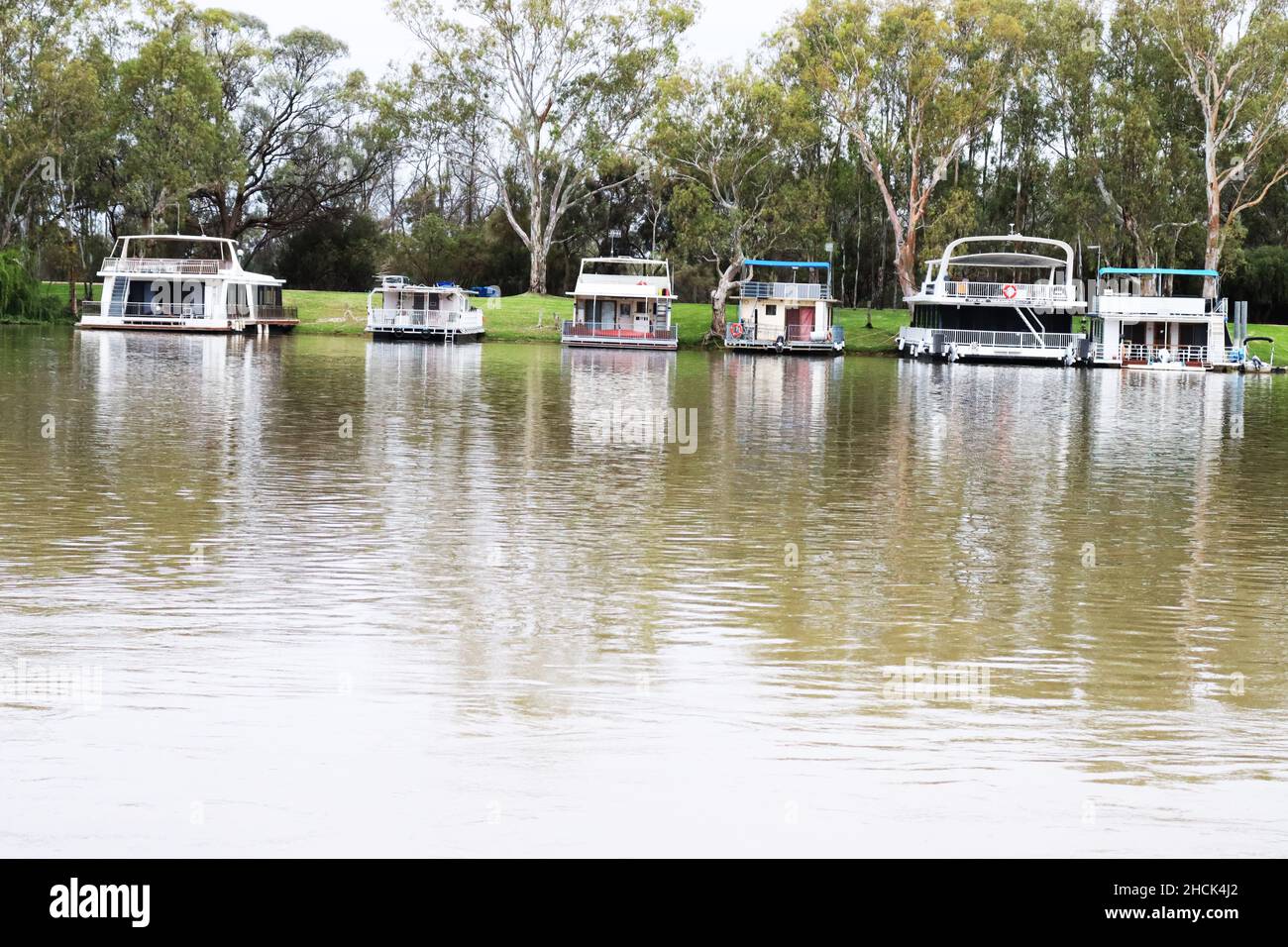 Houseboats moored along the River Murray at Berri in South Australia ...