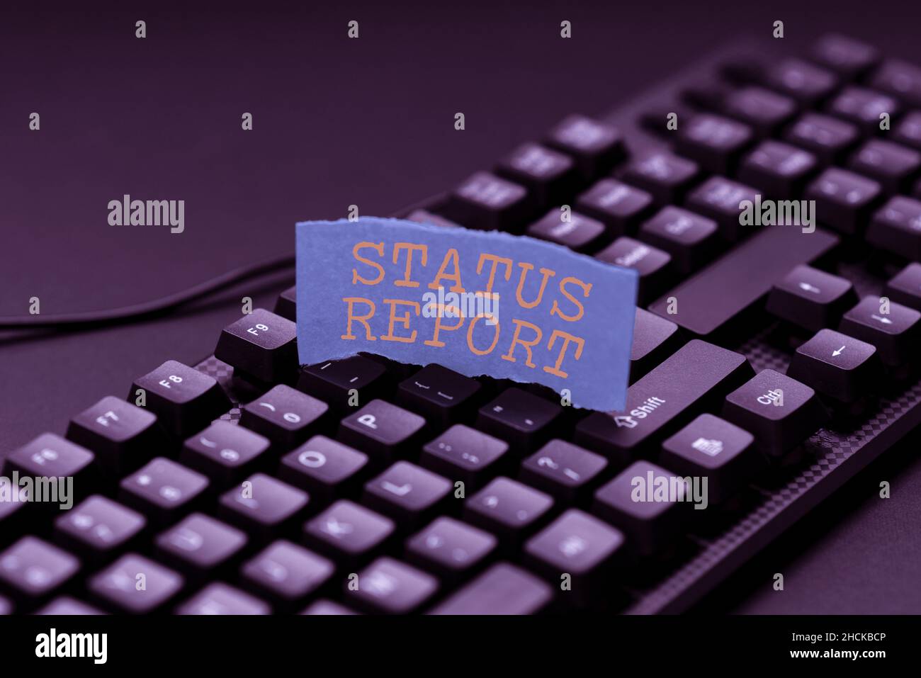 Text caption presenting Status Report. Business idea Update Summary of ...