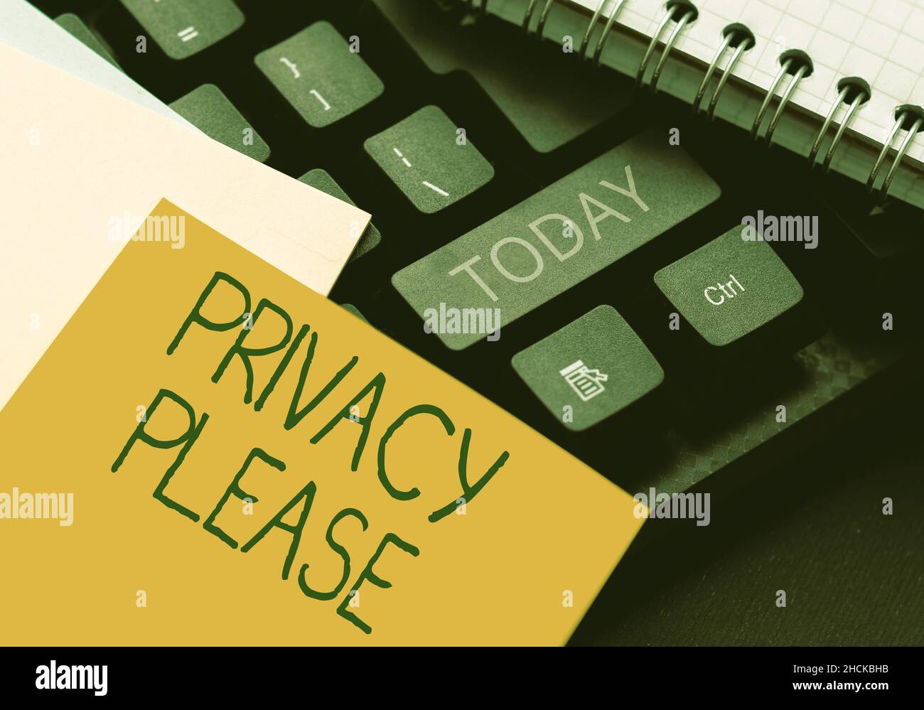 Hand writing sign Privacy Please. Business idea asking someone to ...