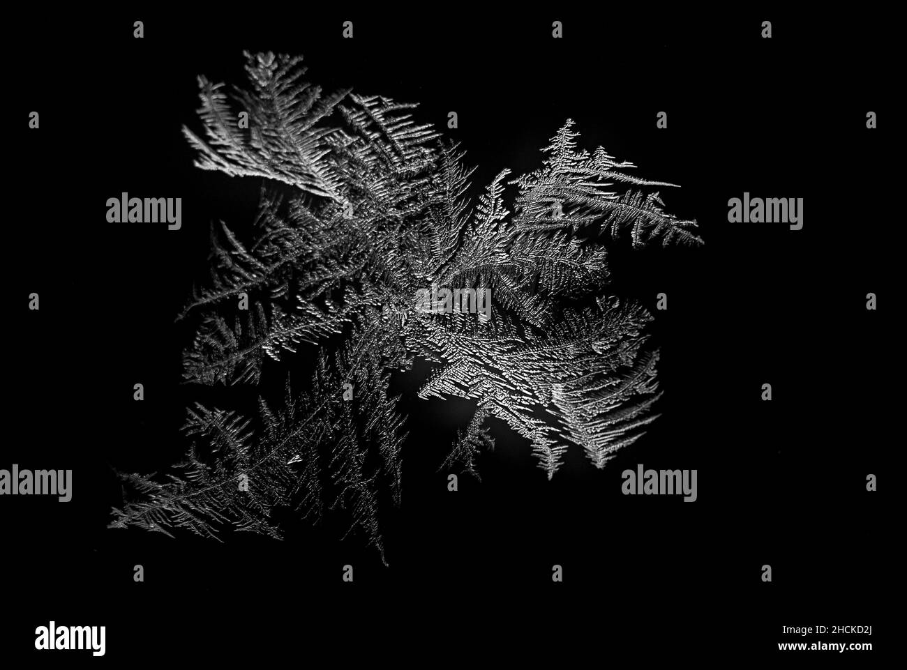 Minus ten degrees hi-res stock photography and images - Alamy