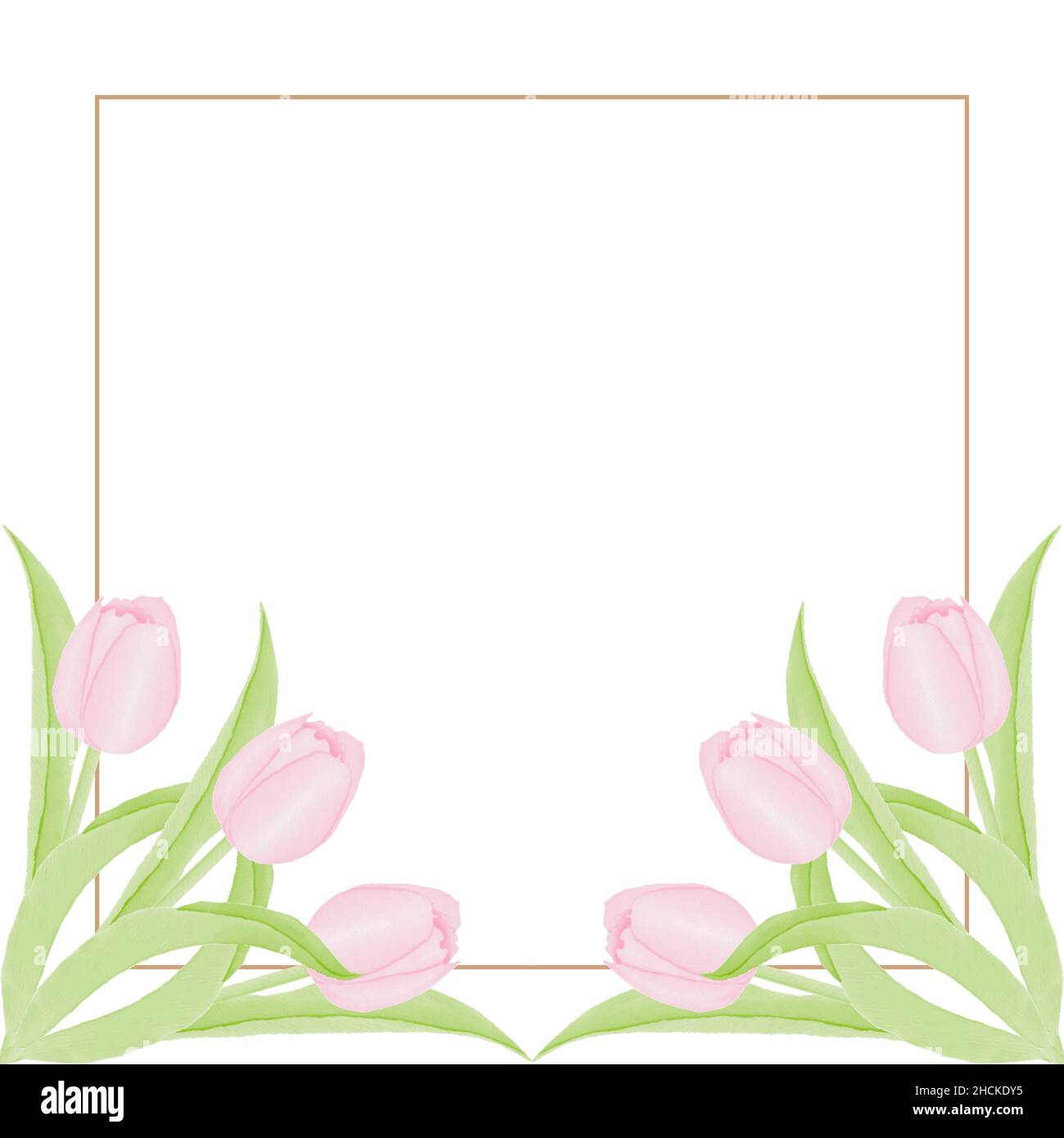 Tulips Flower Border Design
