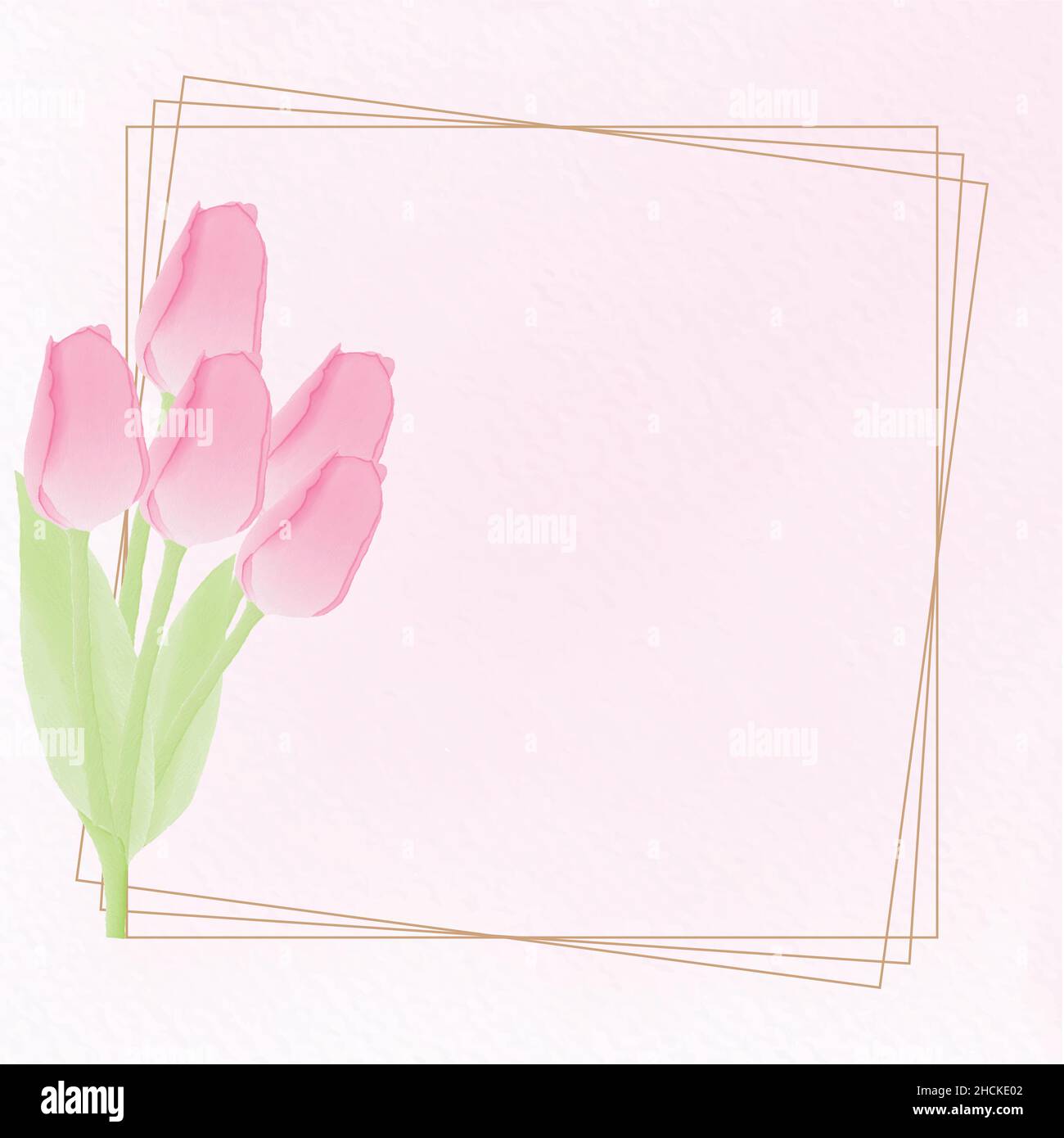 Tulip flower painting hi-res stock photography and images - Alamy