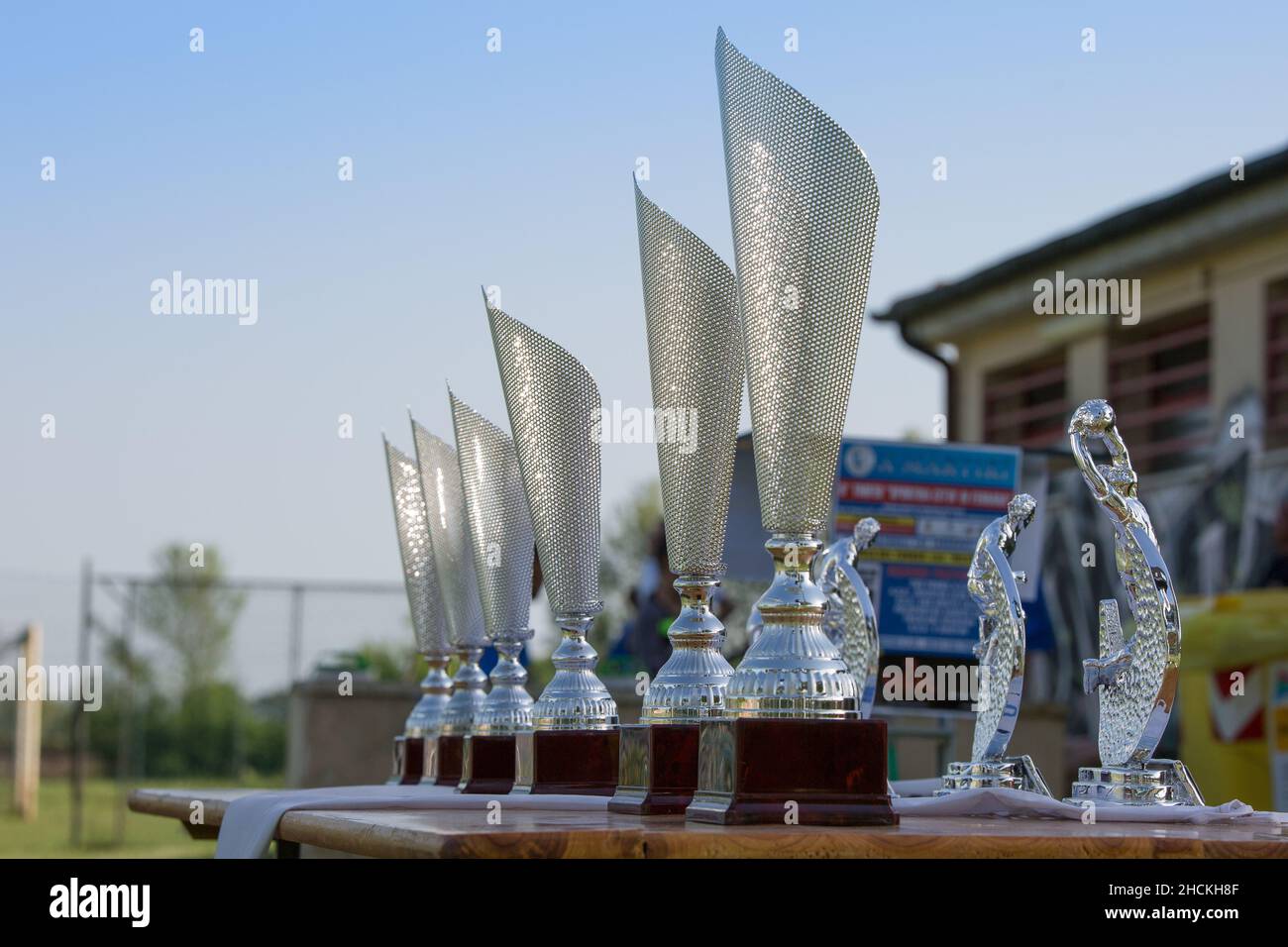 Silver Sports Cups Placed in a Row on Top of an Outdoor Wooden Table ...
