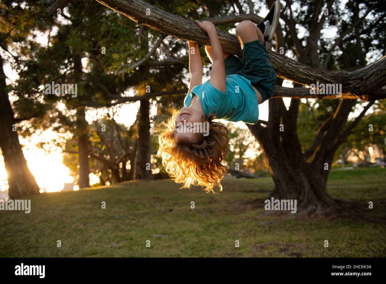 Funny child climbing a tree in the garden. Active kid playing outdoors ...