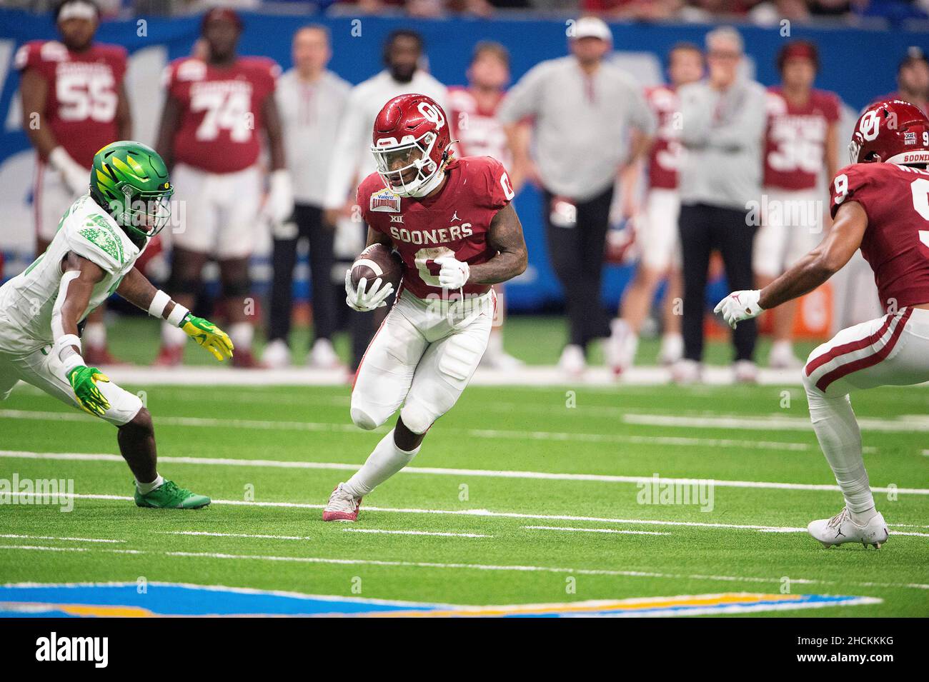 Goducks hi-res stock photography and images - Alamy