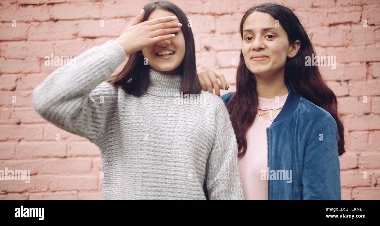 Portrait of two young pretty Indian girls posing against a brick wall ...