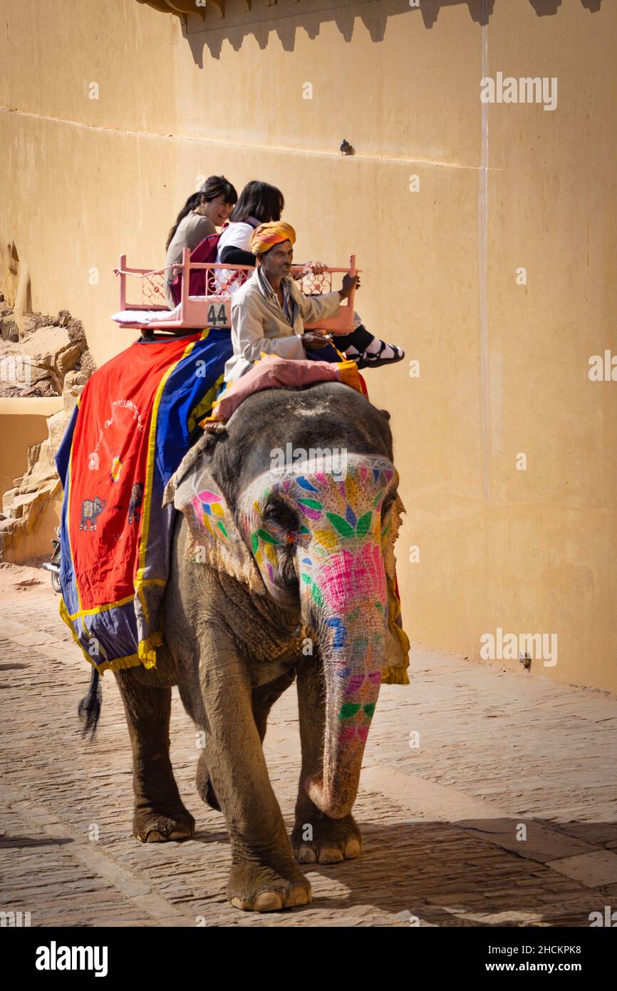 Elephant, Amber Fort, Jaipur Stock Photo - Alamy