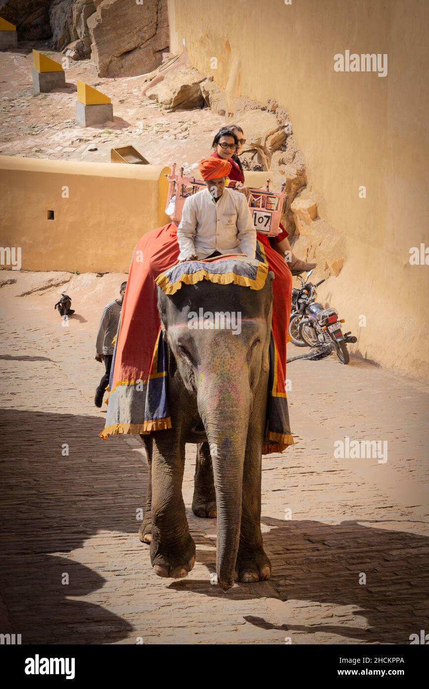Elephant, Amber Fort, Jaipur Stock Photo - Alamy