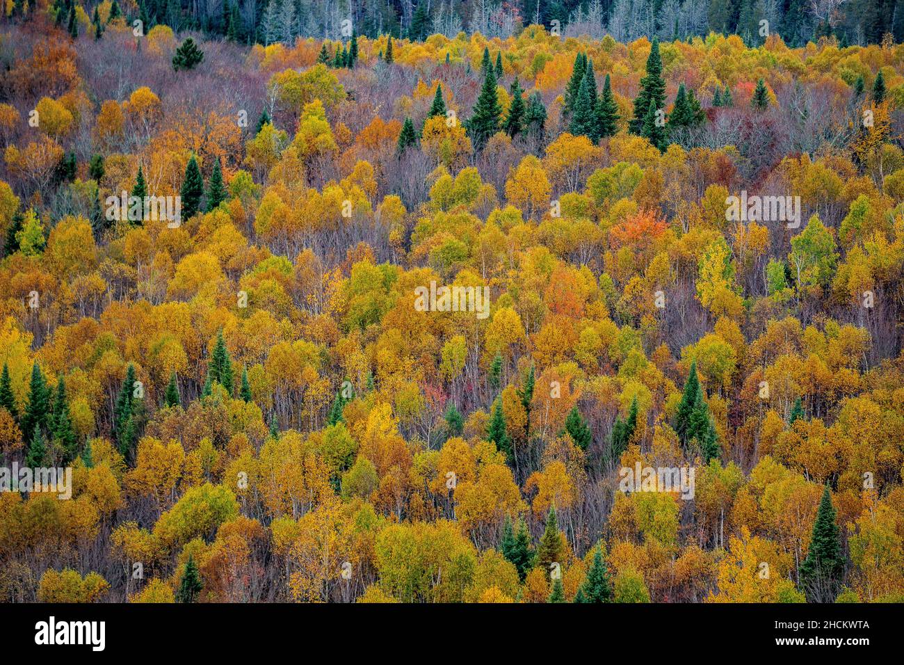 Laurentides High Resolution Stock Photography and Images - Alamy