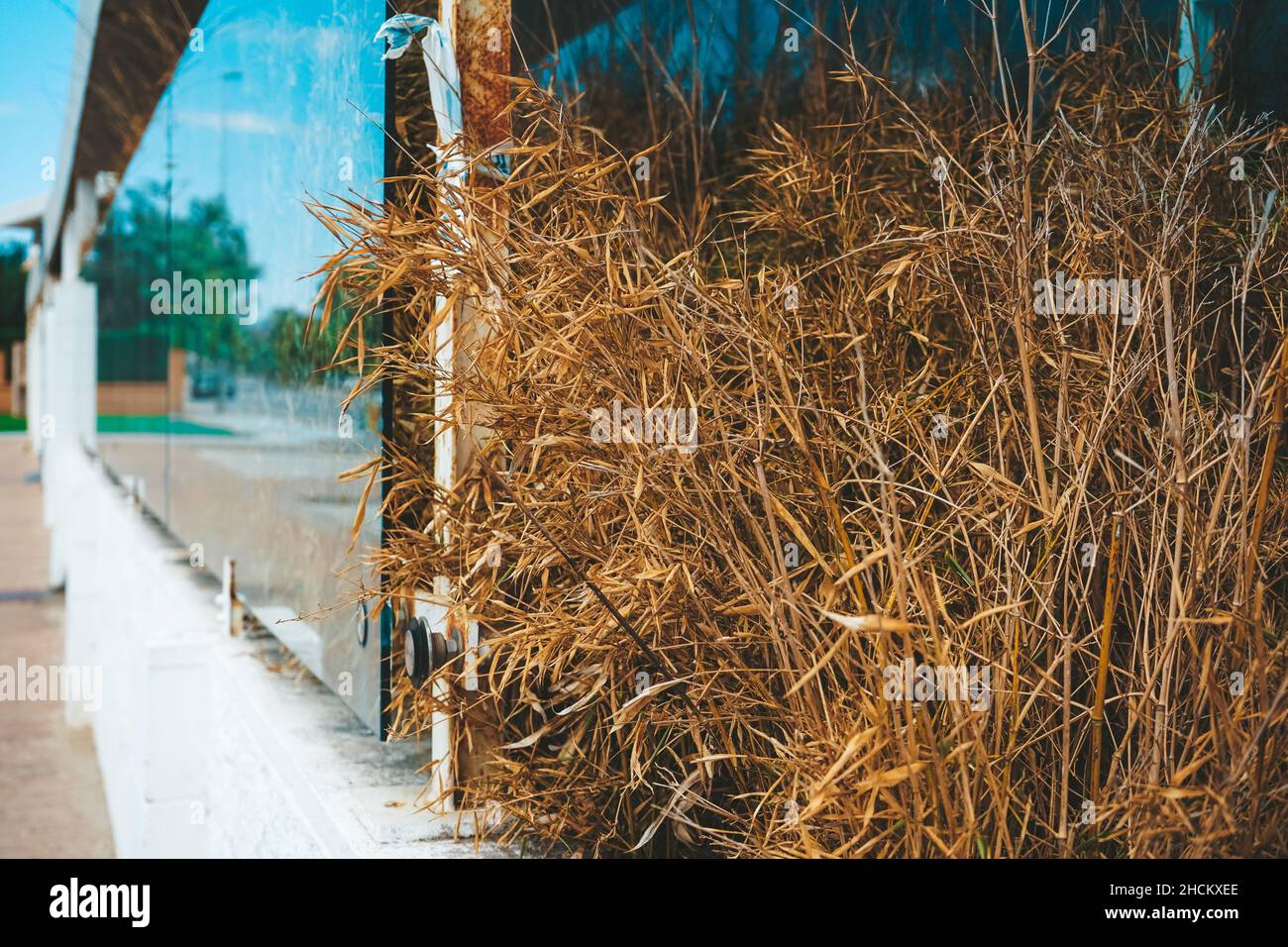 Abandoned and empty storefront in an urban street Stock Photo - Alamy