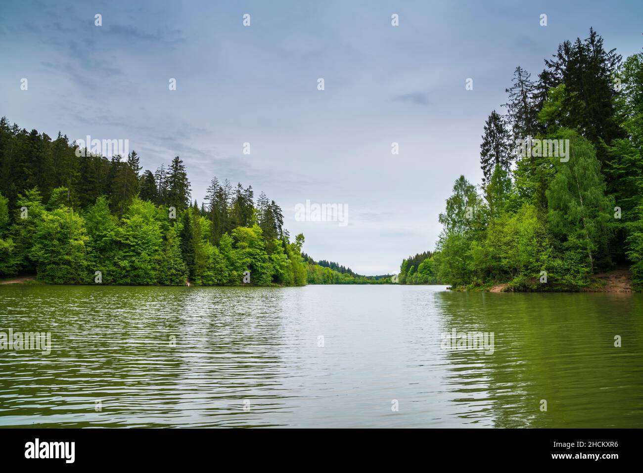 Germany, Lake water surface of Herrenbachstausee in green forest and ...