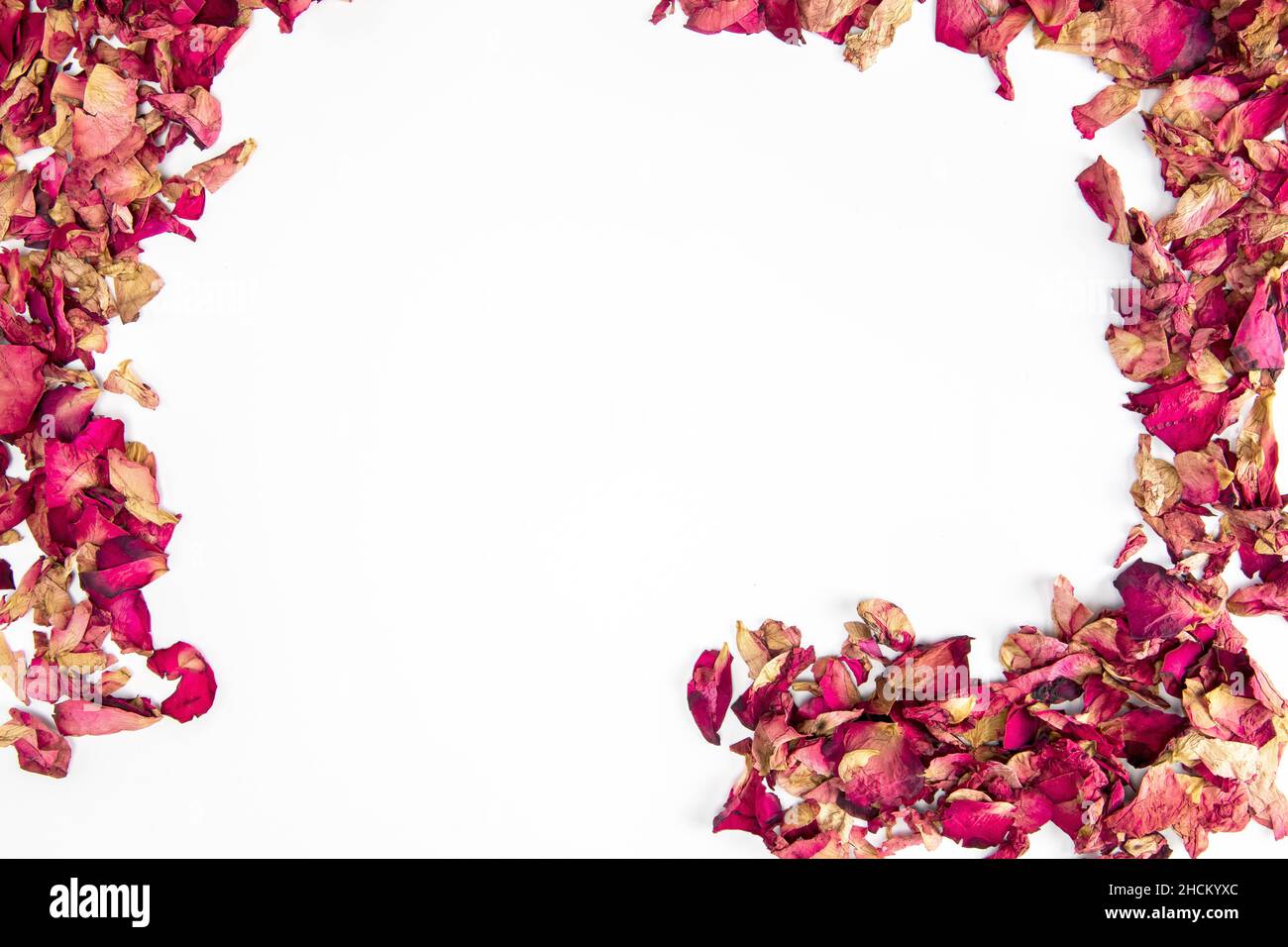 Close up shot of Dry rose petals background border,edge isolated on ...
