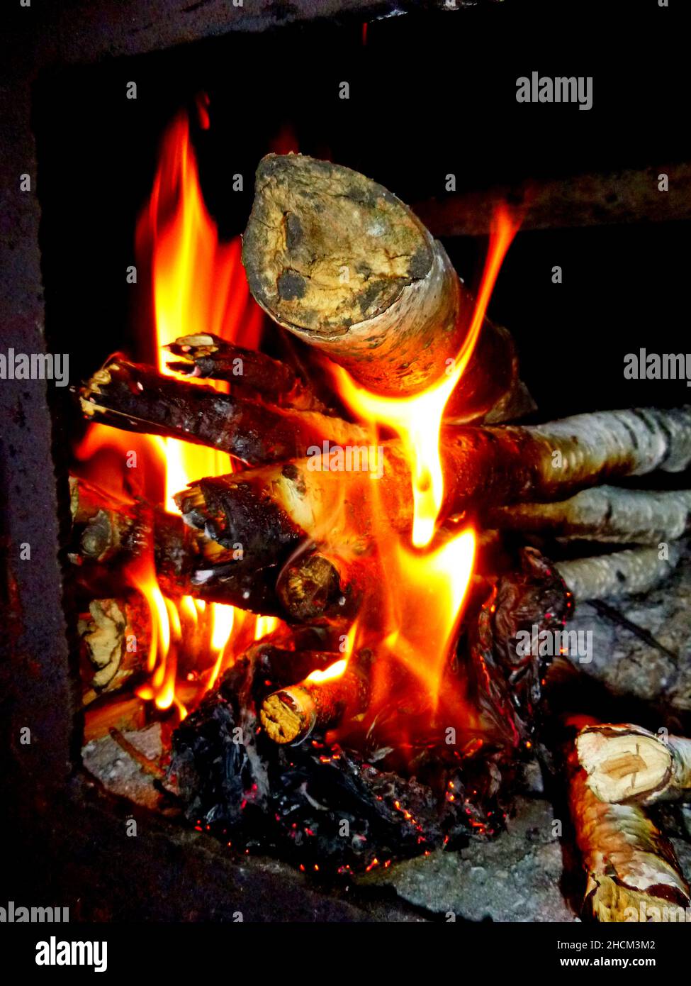 Burning bonfire in stove with paper and burning birch in fire. Smoke ...