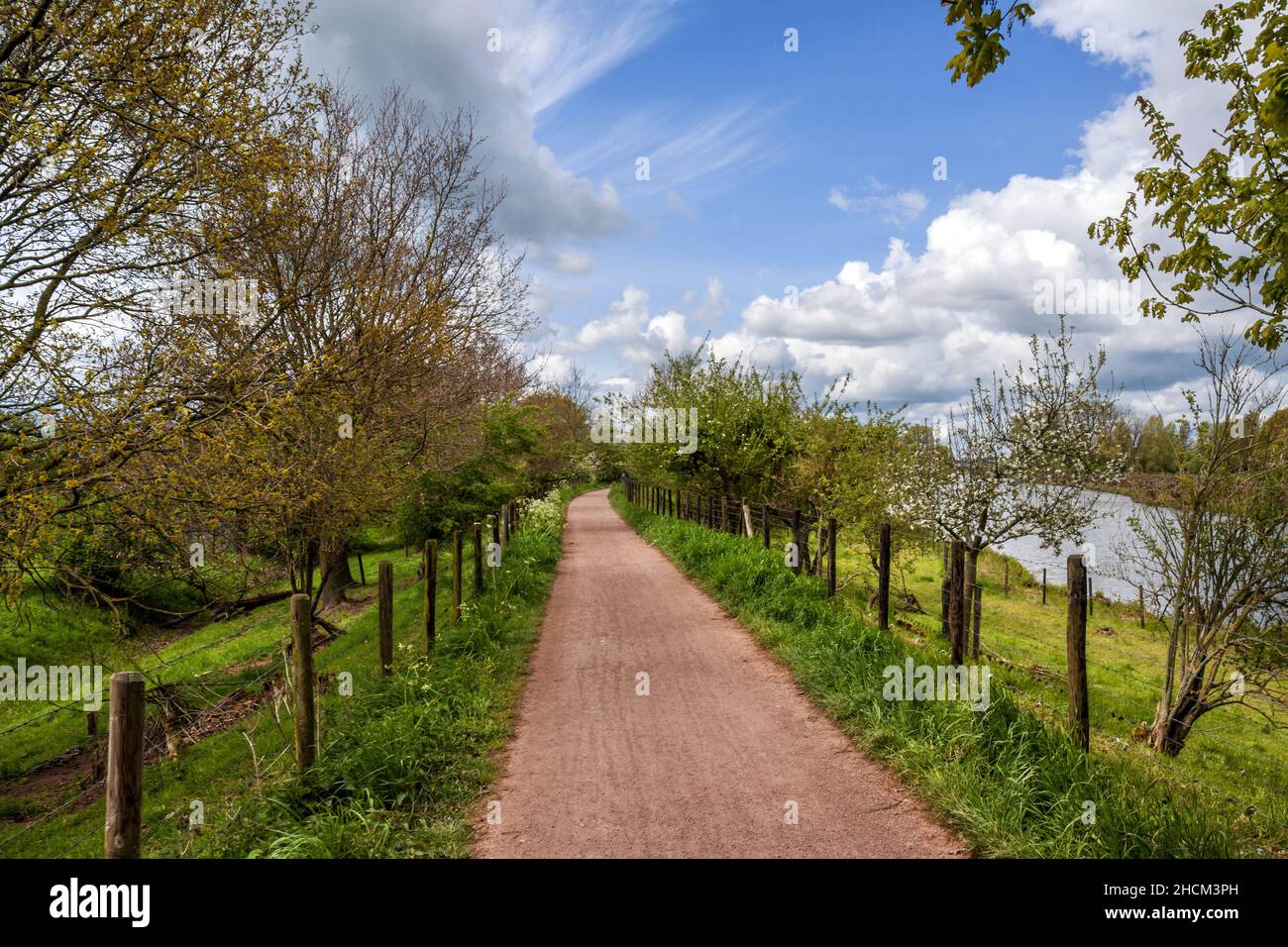 Road on river dike in The Netherlands Stock Photo - Alamy