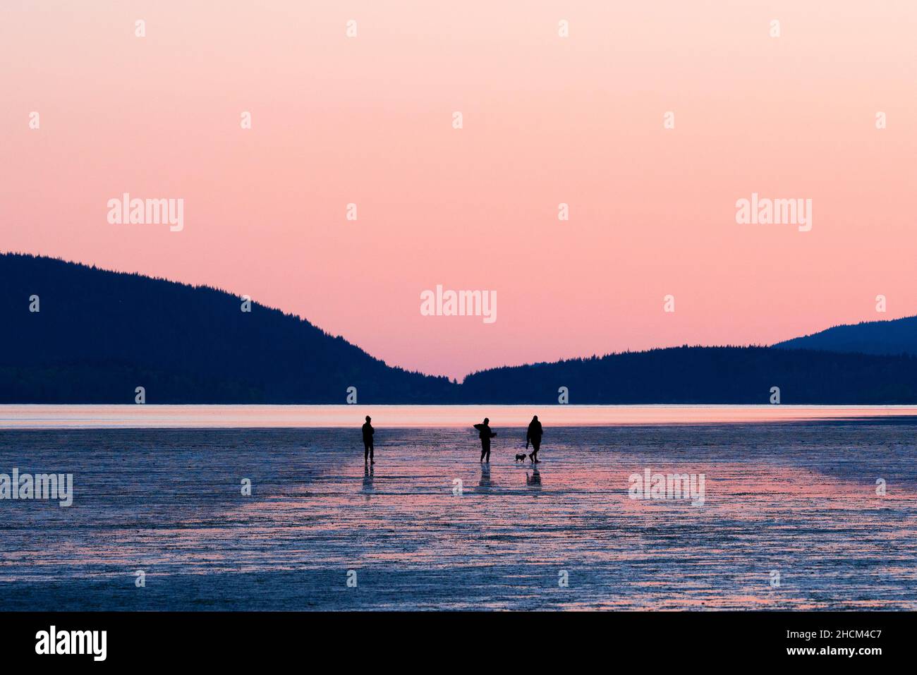Bellingham beach hi-res stock photography and images - Alamy