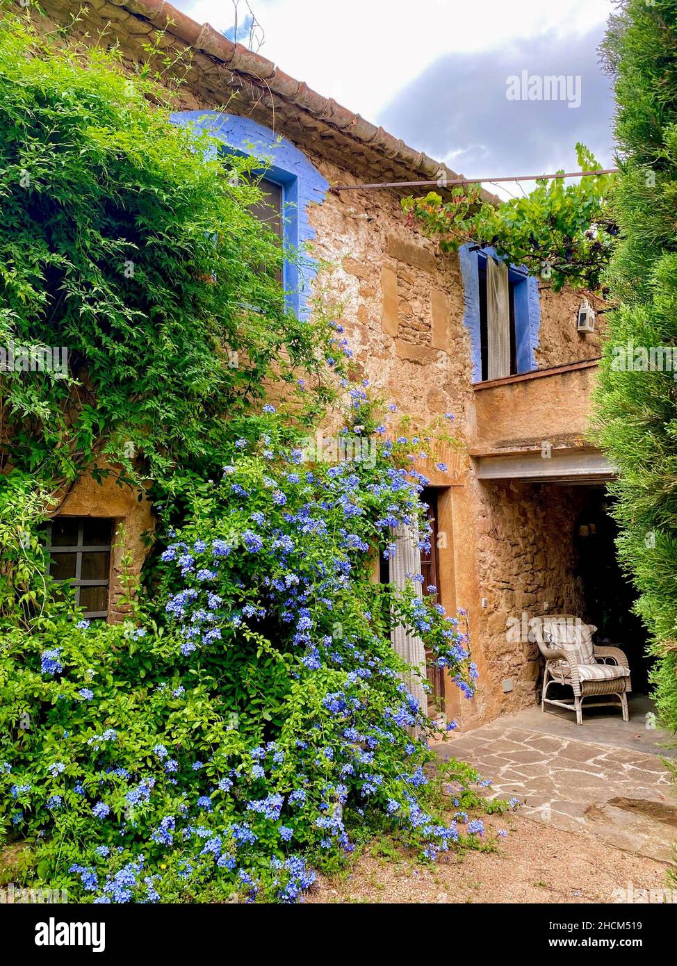 Beautiful view of a courtyard of the house with dense bushes with blue ...