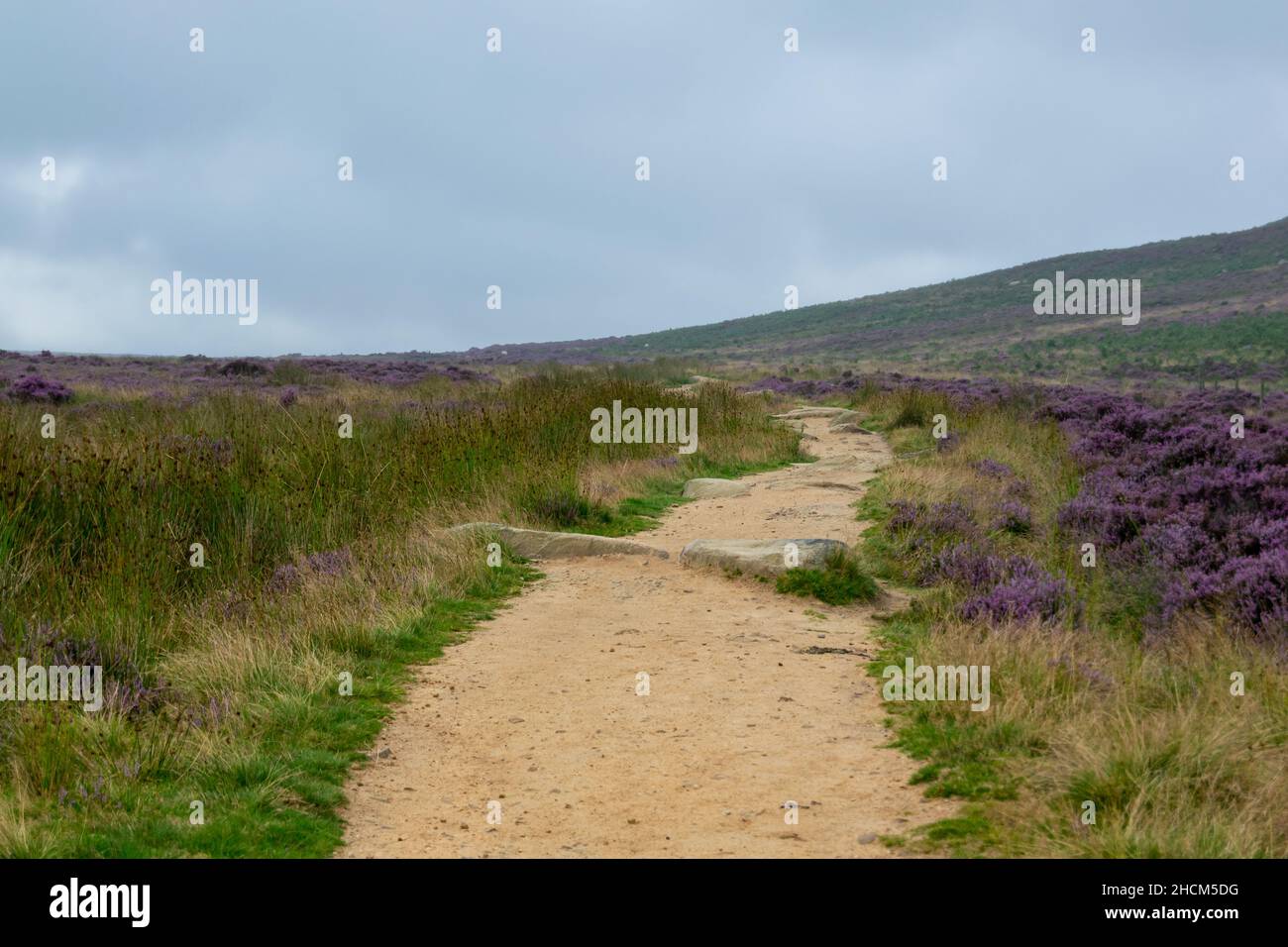 Wide path and long grass hi-res stock photography and images - Alamy