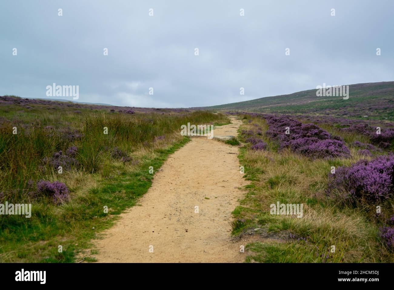Straight footpath hi-res stock photography and images - Alamy