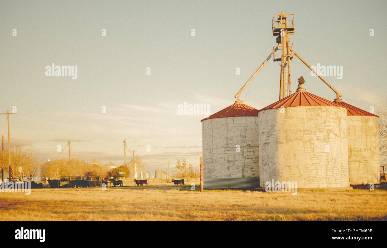 Big silos hi-res stock photography and images - Alamy
