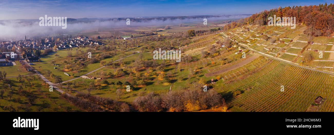 Aerial top view of autumn vineyards Stock Photo - Alamy