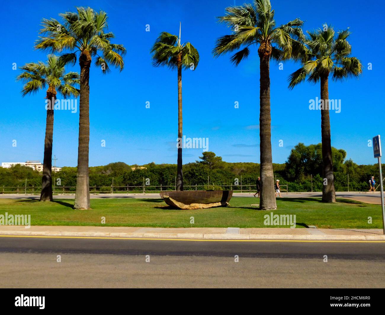 Scenic view of tall palm trees in a park on blue sky background in ...