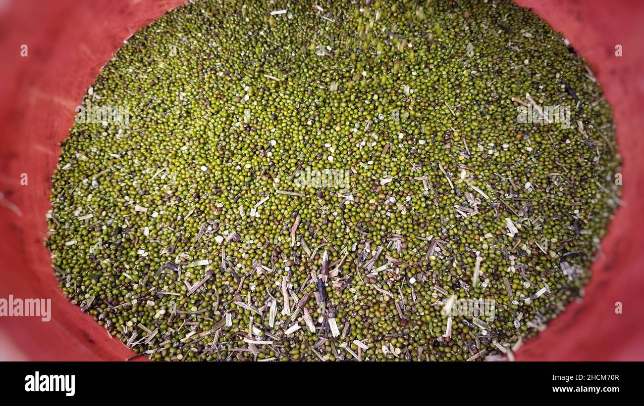 Bucket grains hi-res stock photography and images - Alamy