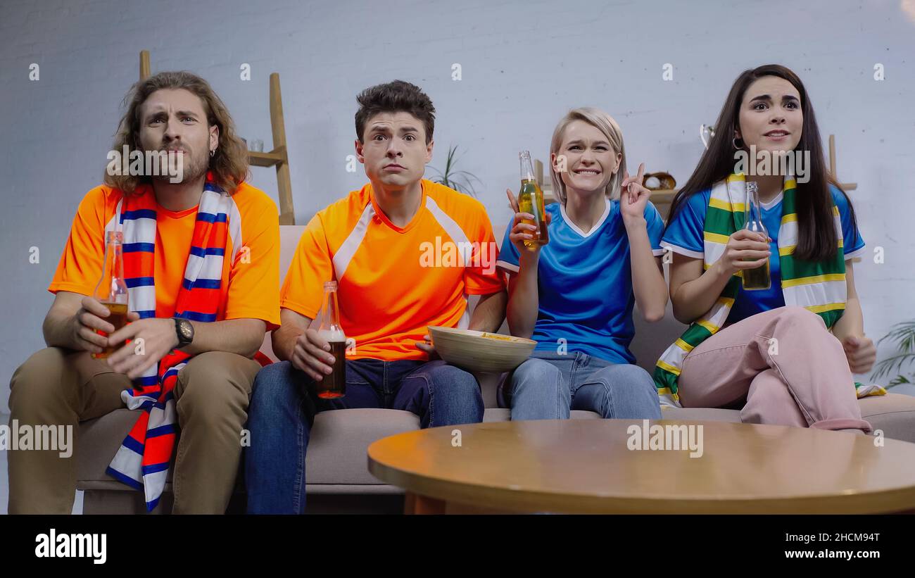 thrilled sport fans with bottles of beer watching sport competition on ...