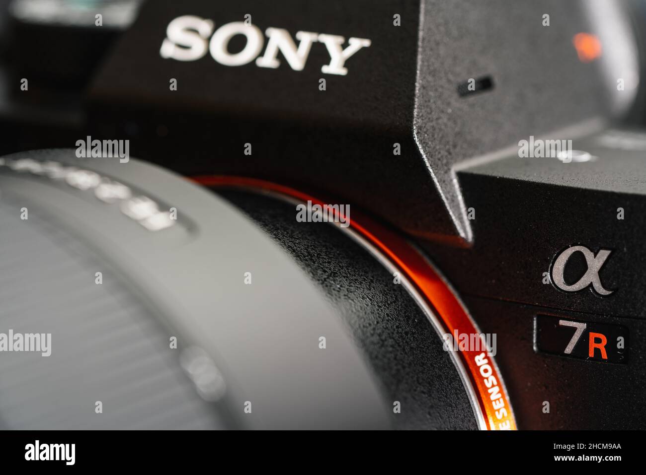 New full frame mirrorless hi-res stock photography and images - Alamy