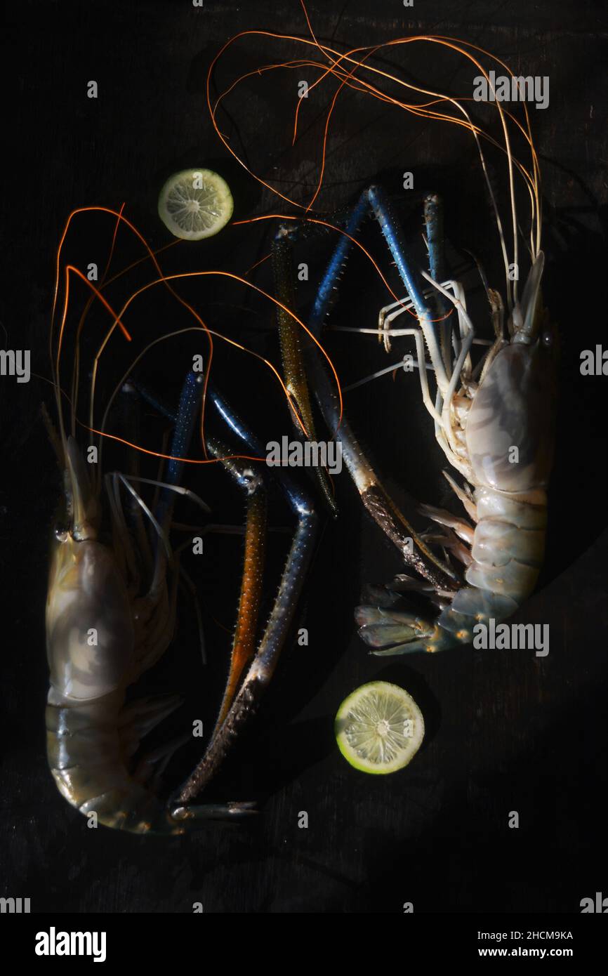 Fresh prawn photography Stock Photo - Alamy