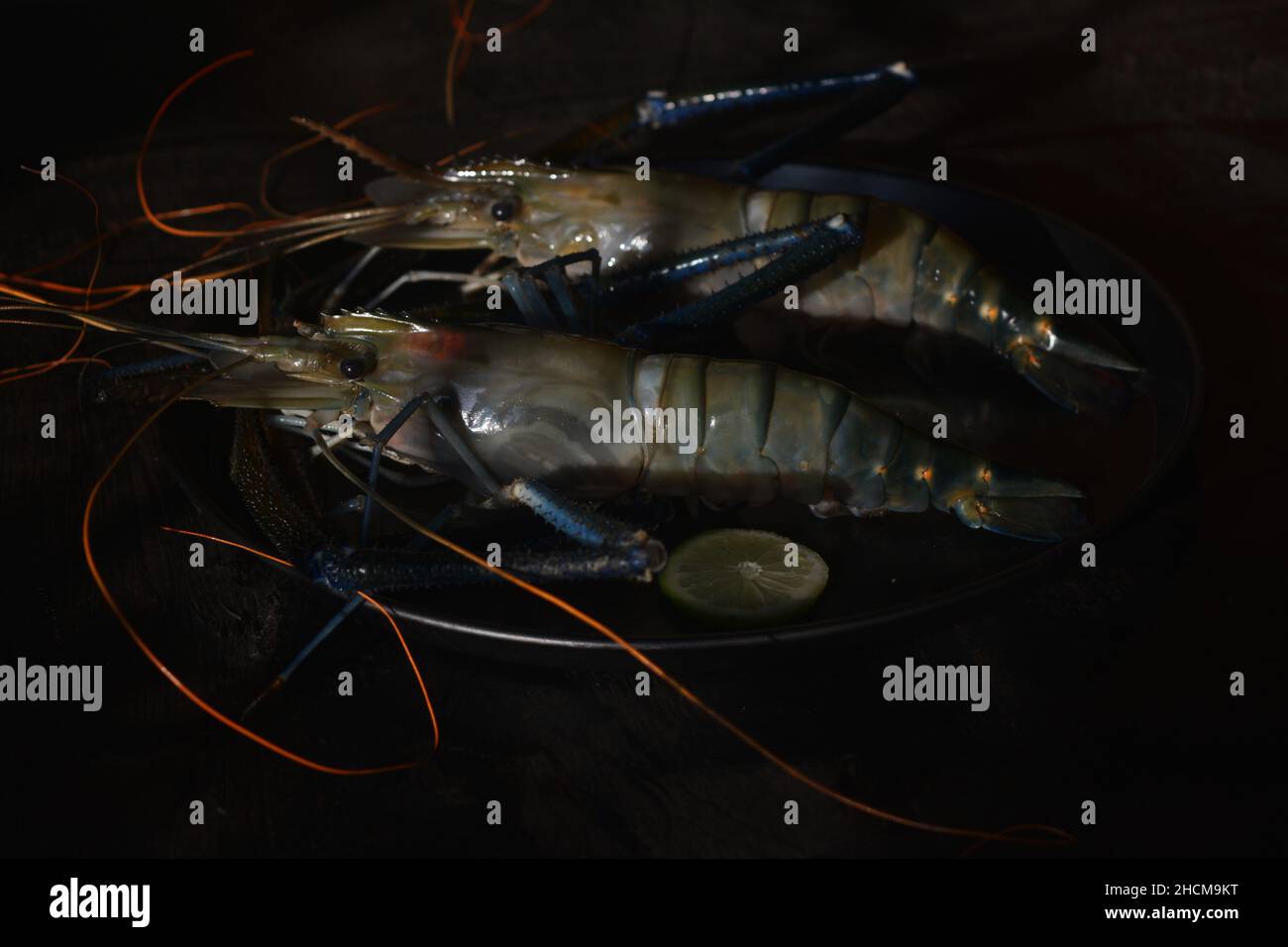 Prawn image hi-res stock photography and images - Alamy