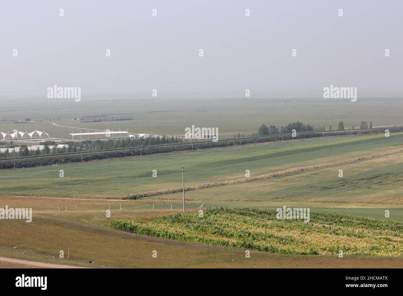 Landscape of farm field crops covered in the fog under a cloudy sky in ...