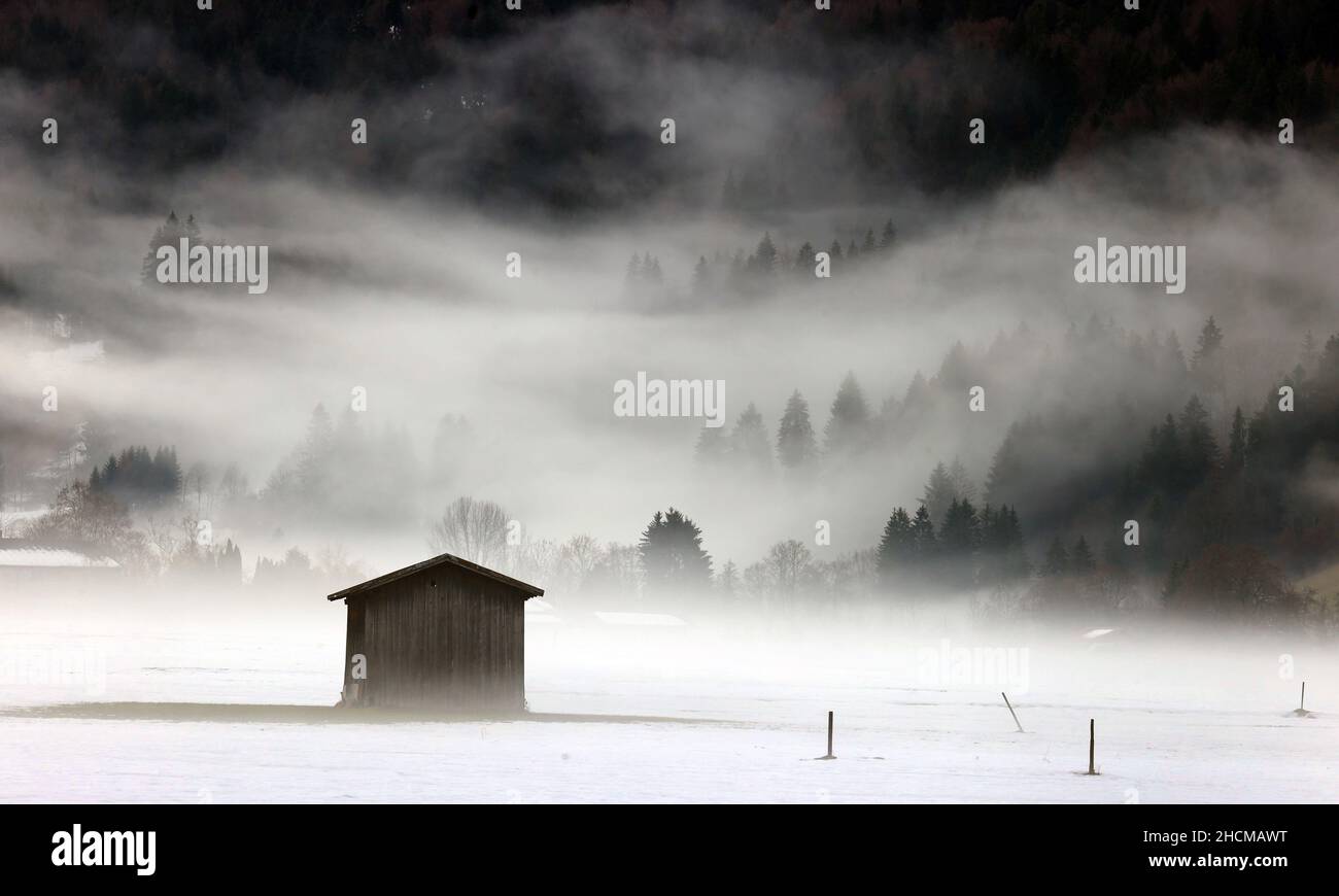 Oberstdorf, Germany. 30th Dec, 2021. A hut stands in front of the misty forest on a snow-covered ...
