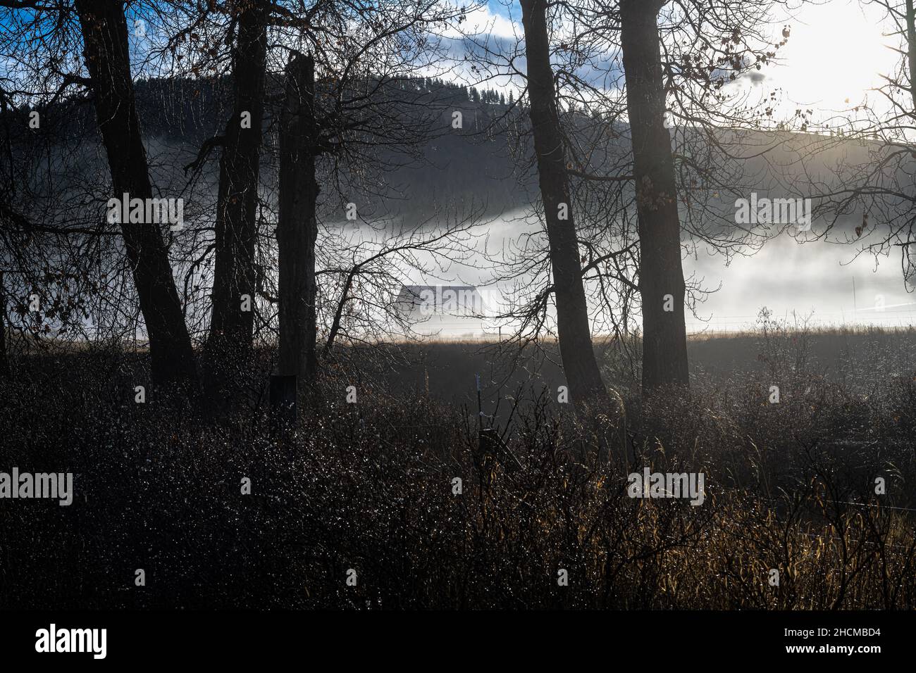 Old farmhouse in black hi-res stock photography and images - Alamy