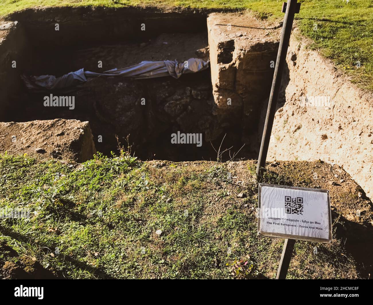 Homo habilis erectus hi-res stock photography and images - Alamy