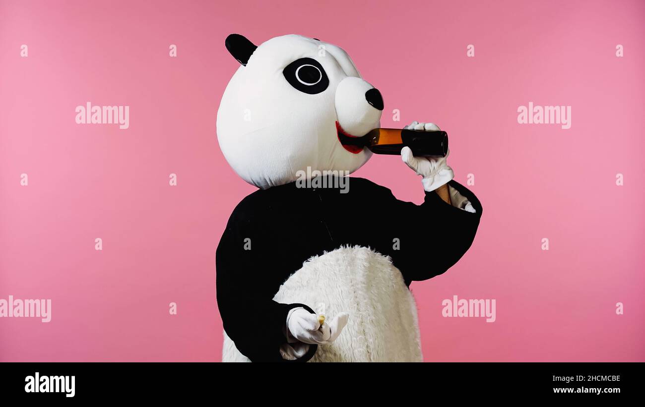 person in panda bear costume drinking wine from bottle and holding cork ...
