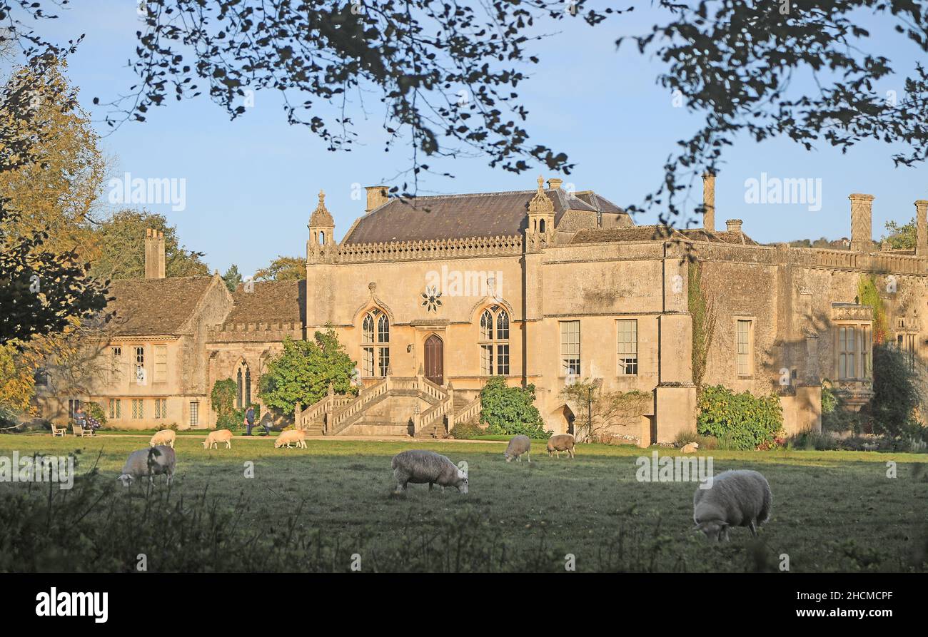 Lacock Abbey, Wiltshire Stock Photo - Alamy