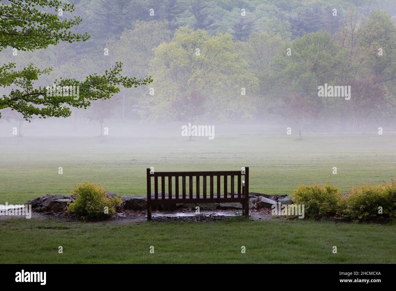 Lonely empty bench facing the park covered with mist Stock Photo - Alamy