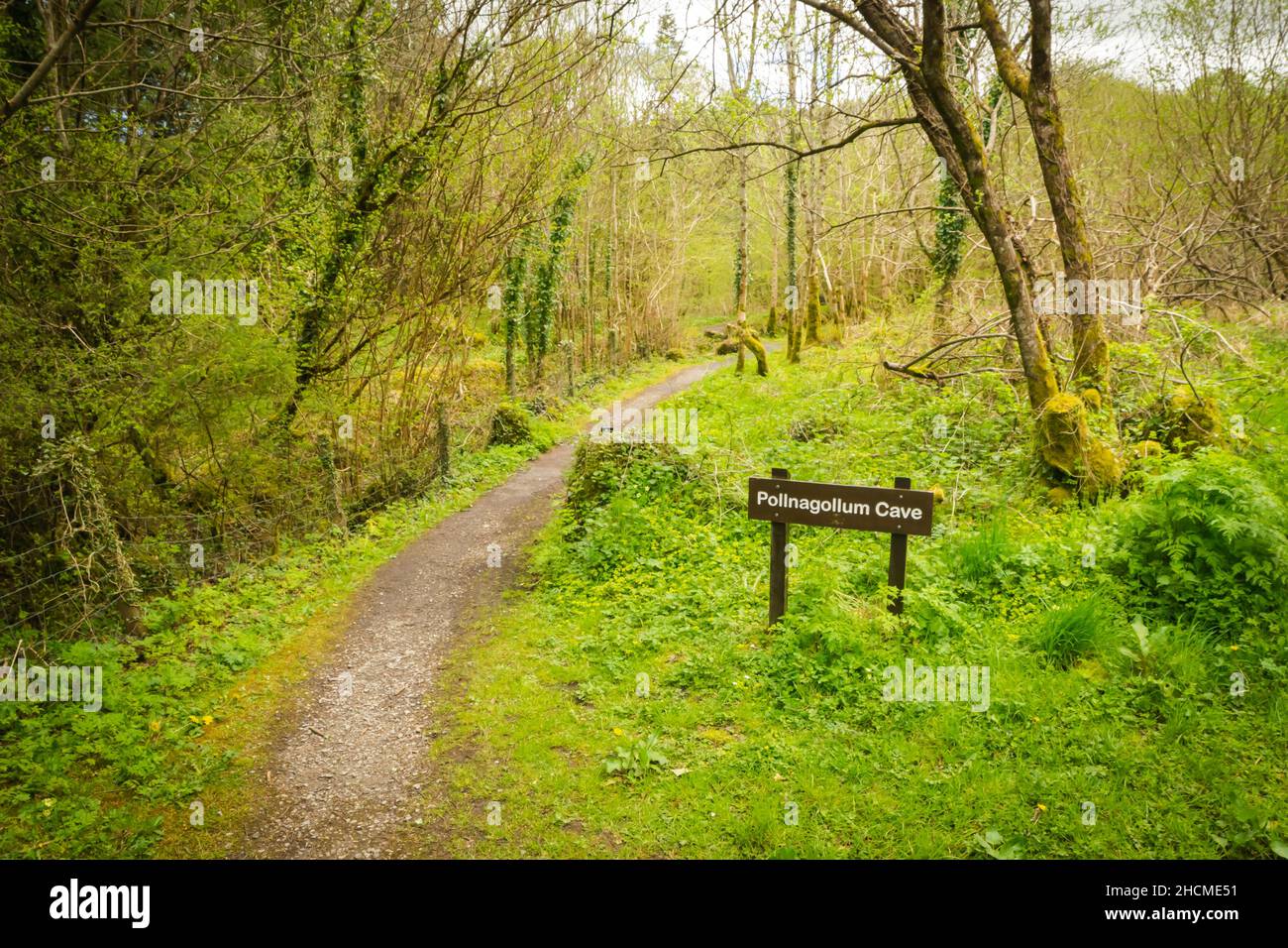 Path to pollnagollum cave with wooden sign board on the side of the ...