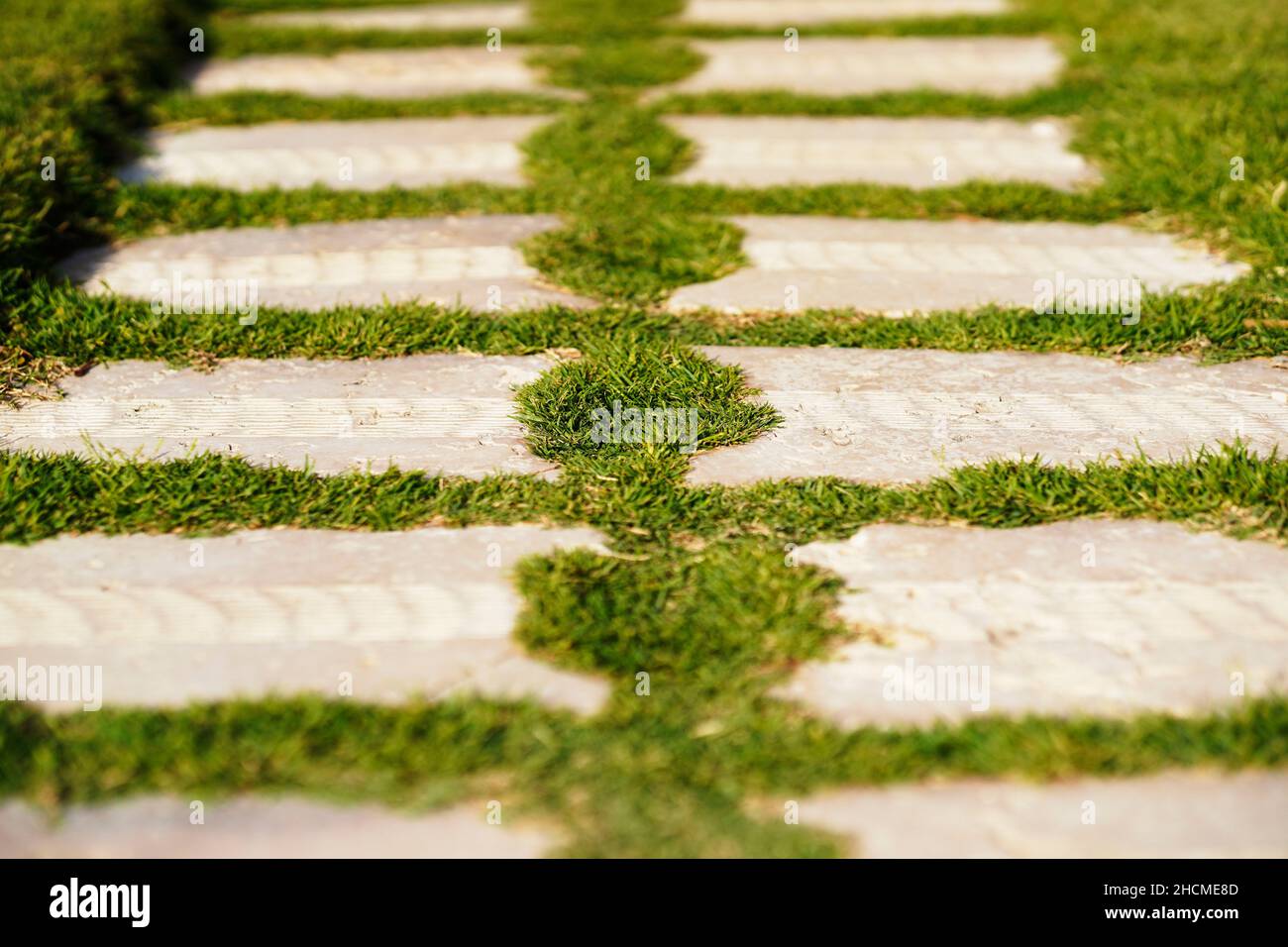 Stepping stone path hi-res stock photography and images - Alamy