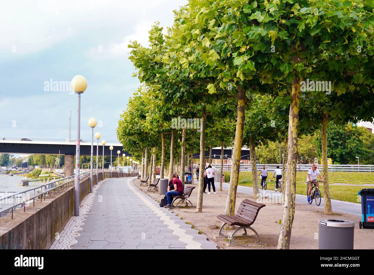 Relaxing trees hi-res stock photography and images - Alamy