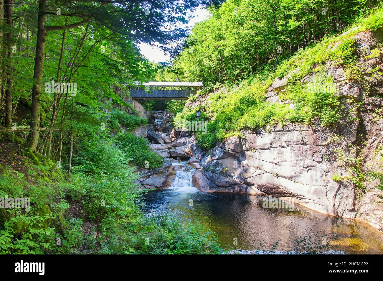 the iconic sentinel pine bridge above the Pemigewasset river within the ...
