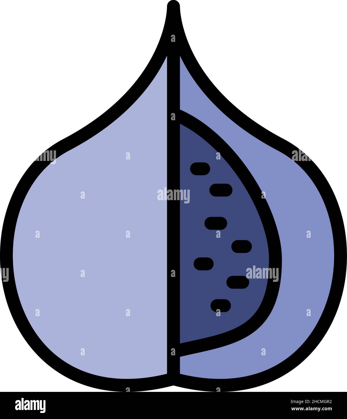 Summer fig icon. Outline summer fig vector icon color flat isolated ...