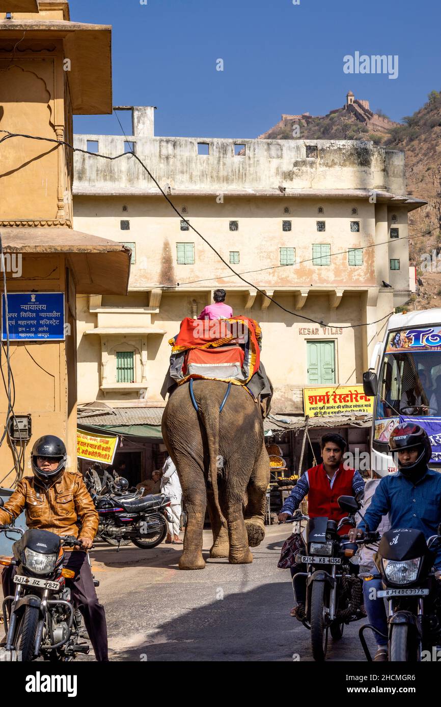 Elephant, Amber Fort, Jaipur Stock Photo - Alamy