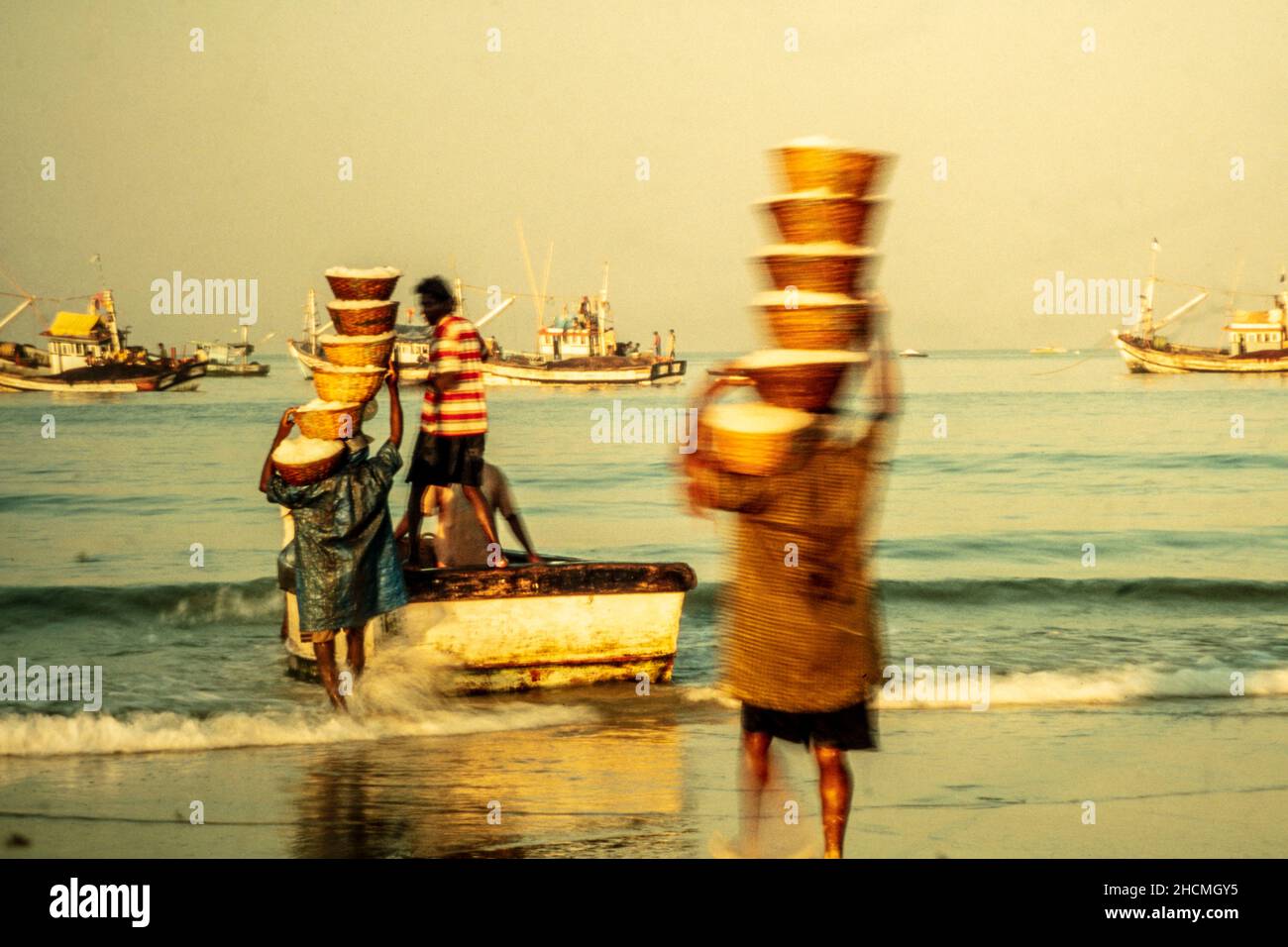 The catch, sustainable commercial fishing in Goa, India. Beachside ...