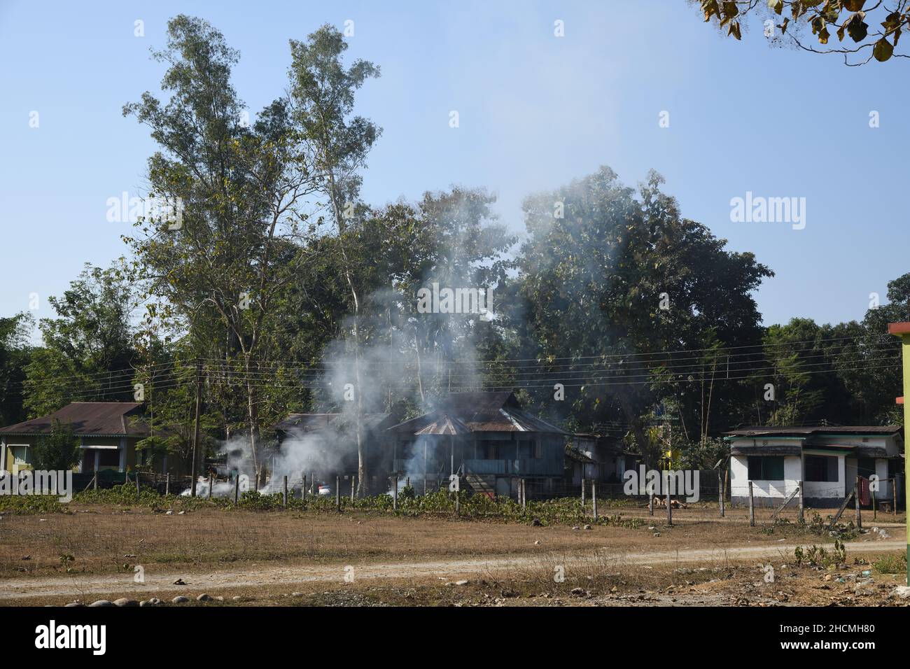 Burning of dry fallen leaves is a common practice by locals to clear ...
