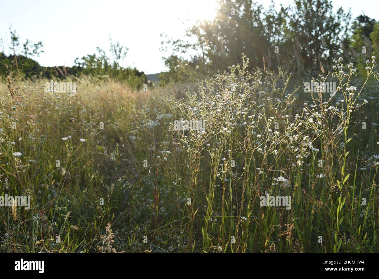 Beautiful nature shot amazing landscape hi-res stock photography and ...