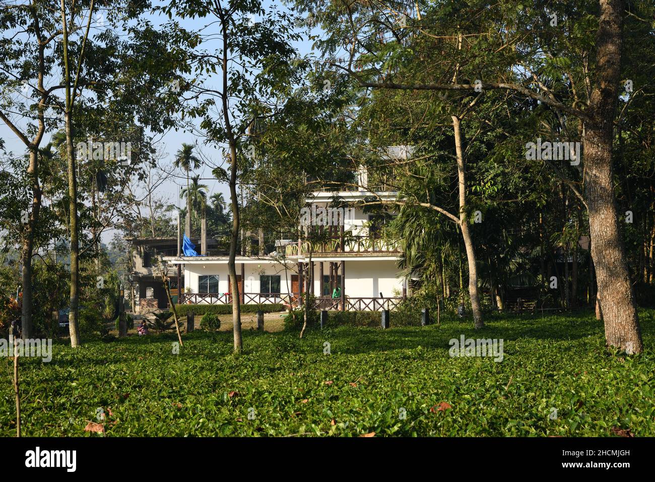 Lataguri hi-res stock photography and images - Alamy